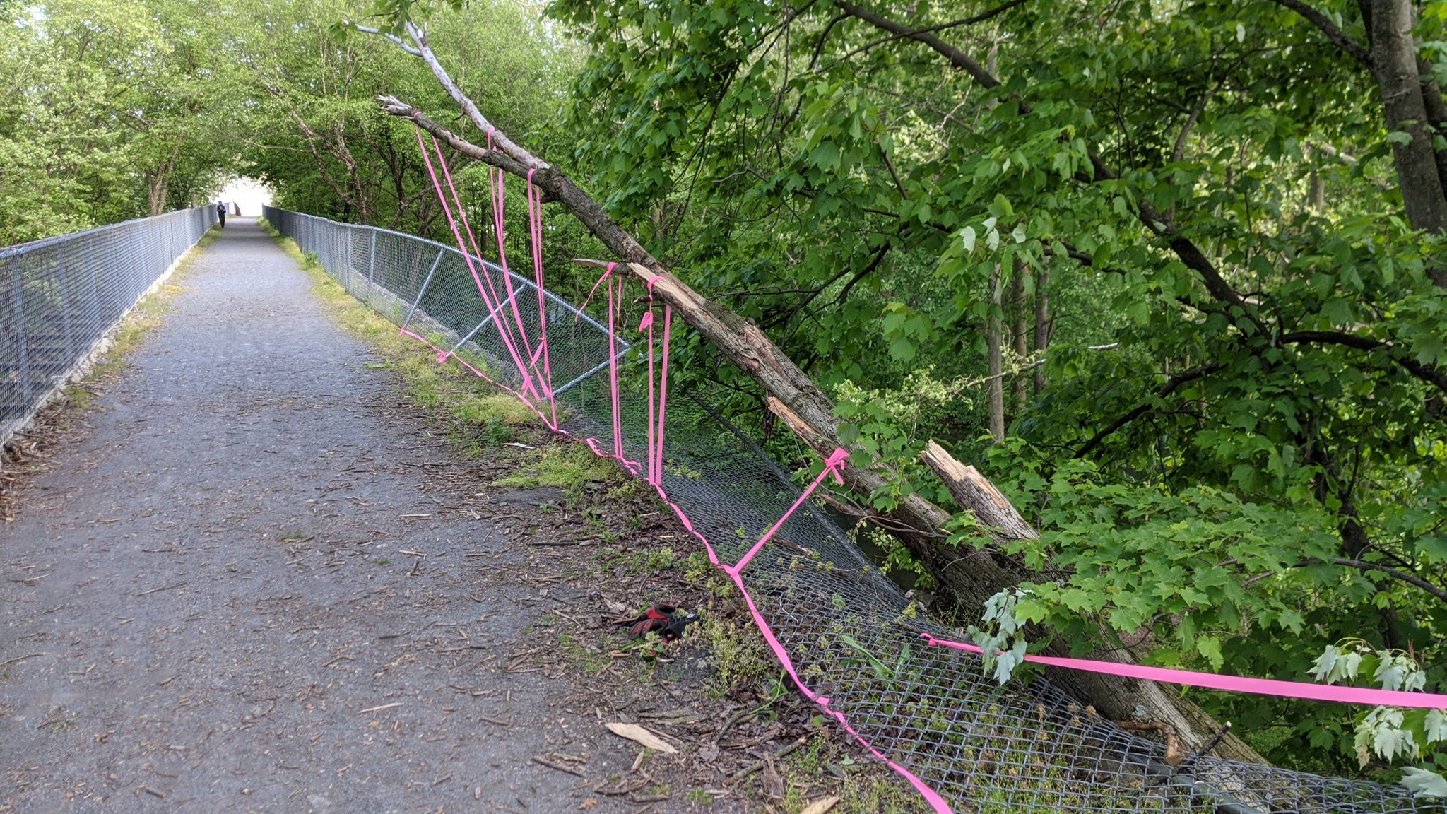 Schuylkill River Trail Overview | Schuylkill River Greenways